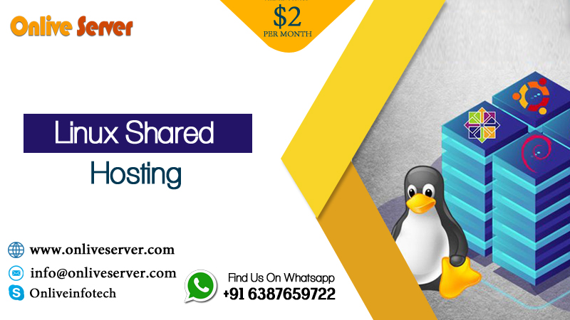 Recognize Linux Shared Hosting at Inexpensive Price - Onlive Server